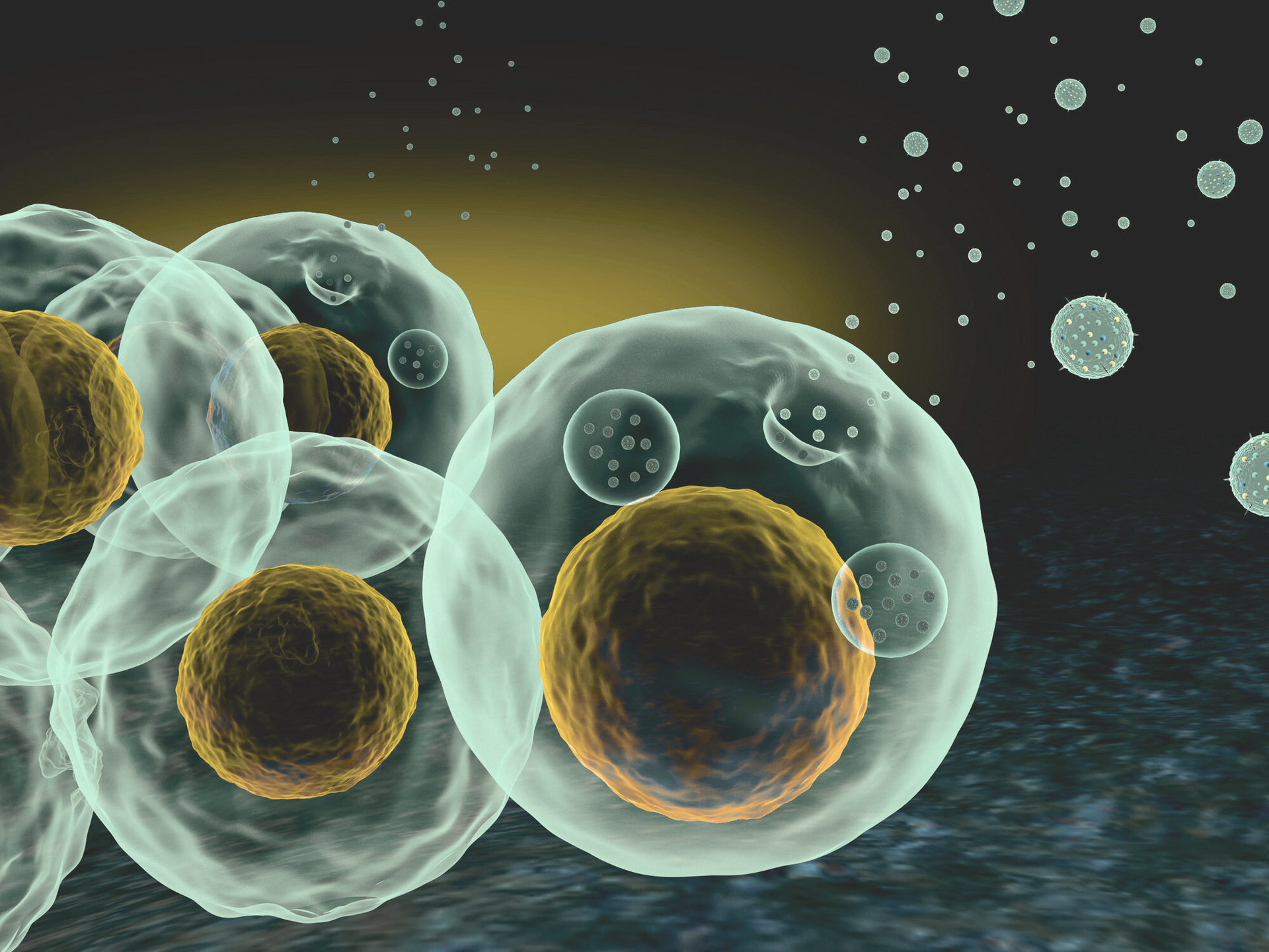 What Are Exosomes in Skin Care: Everything You Need to Know. – Sapelo ...